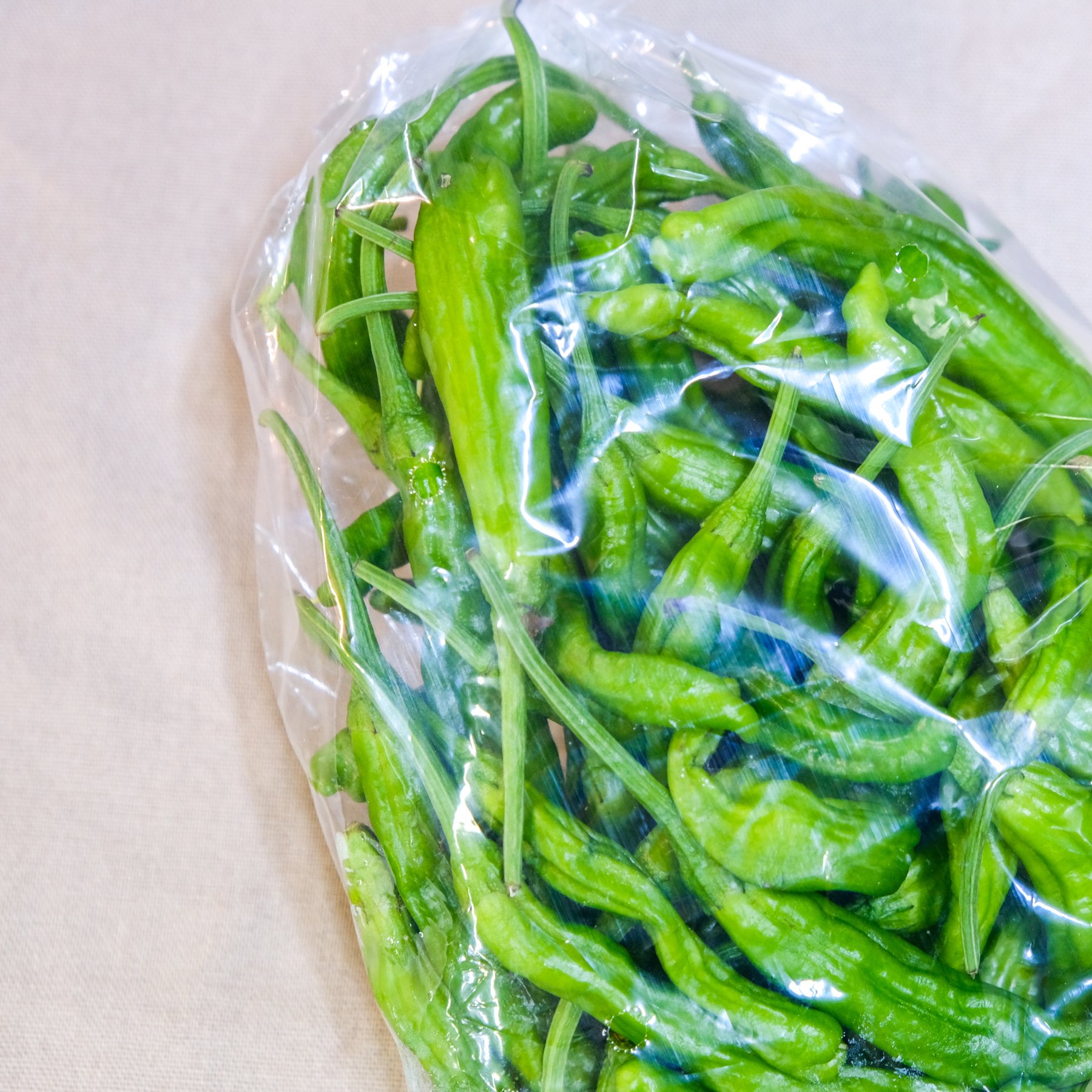 알싸한 꽈리고추 180g 중동 옹가네야채 배민 장보기∙쇼핑