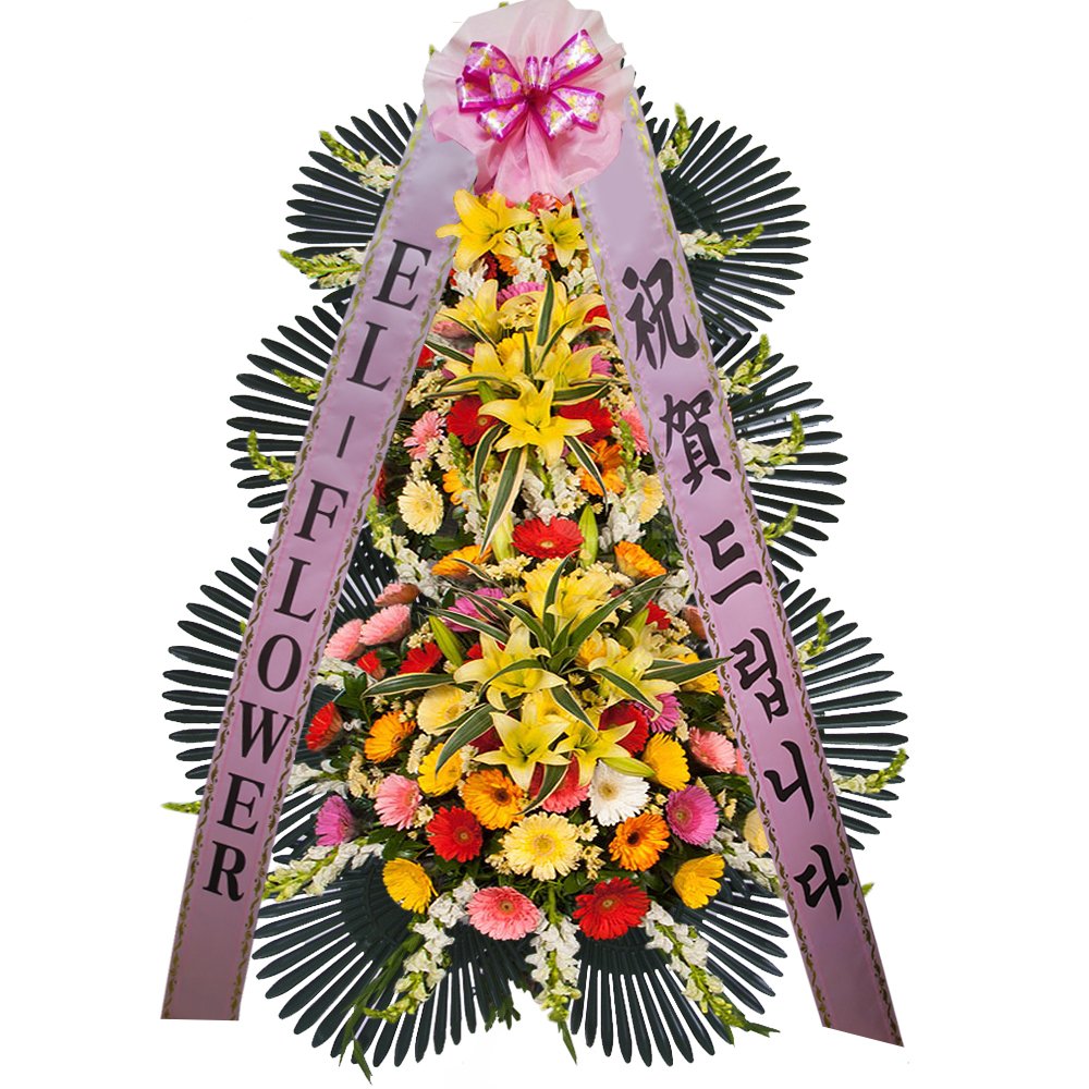 축하 3단 B1등록반려배달가능 규격 초과 상품으로 픽업으로 수정 필요 배민 장보기∙쇼핑