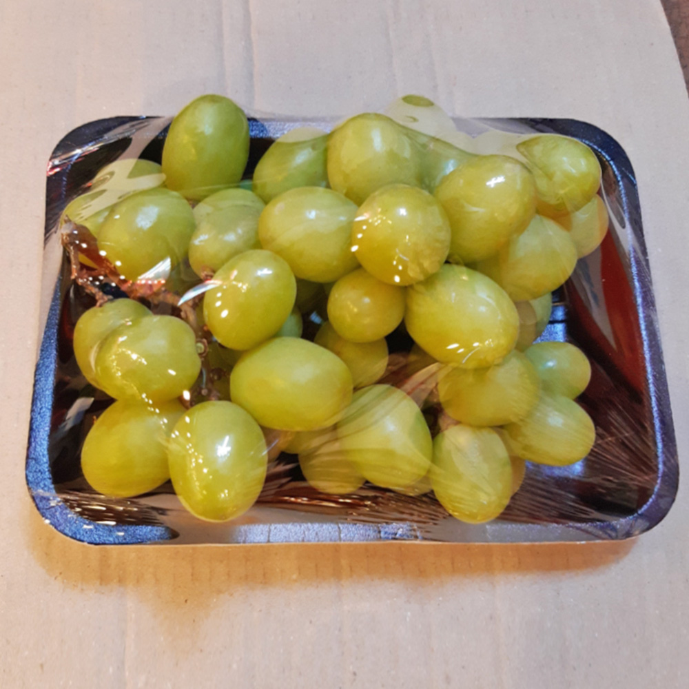 먹기 좋은 씨없는 청포도 1팩 중동 가은청과 배민 장보기∙쇼핑