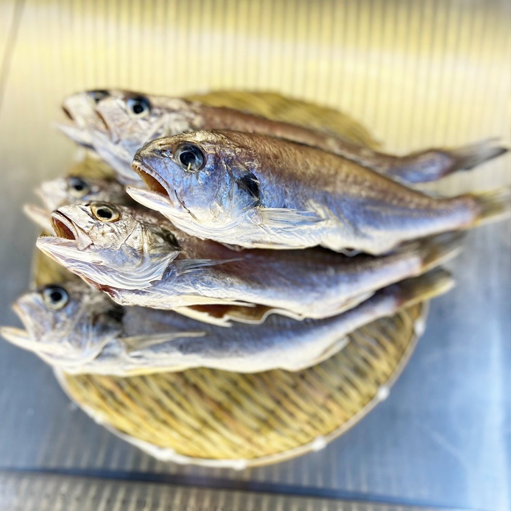 자꾸만 당기는 반건조 백조기 세마리 600g 이상 양산남부 해신수산 배민 장보기∙쇼핑