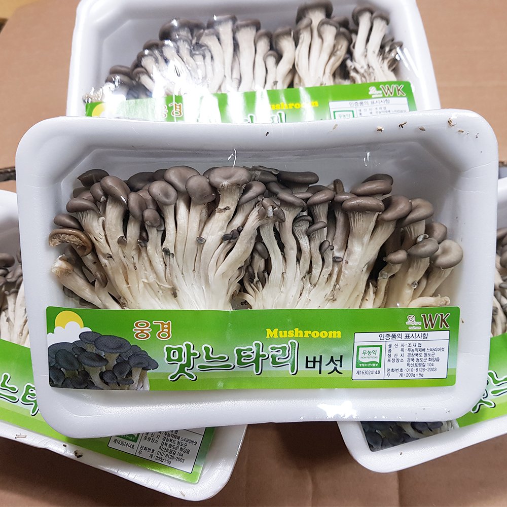 반찬으로 좋은 느타리버섯 1팩 양산남부 싱싱유통 배민 장보기∙쇼핑