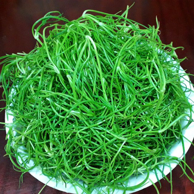 향긋한 세발나물 한봉지 한민 호진네야채 배민 장보기∙쇼핑