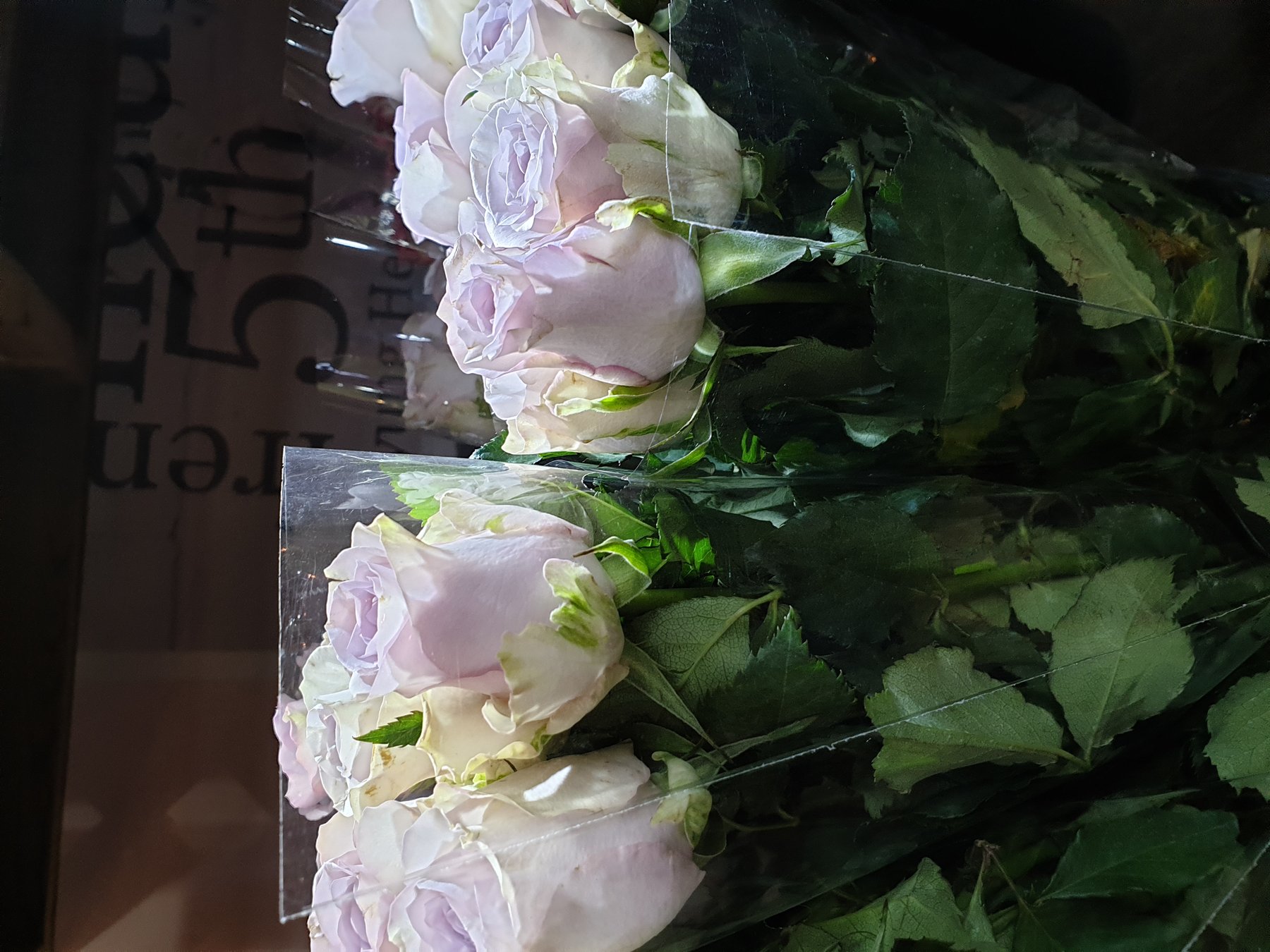 연보라장미 1송이 배민 장보기∙쇼핑