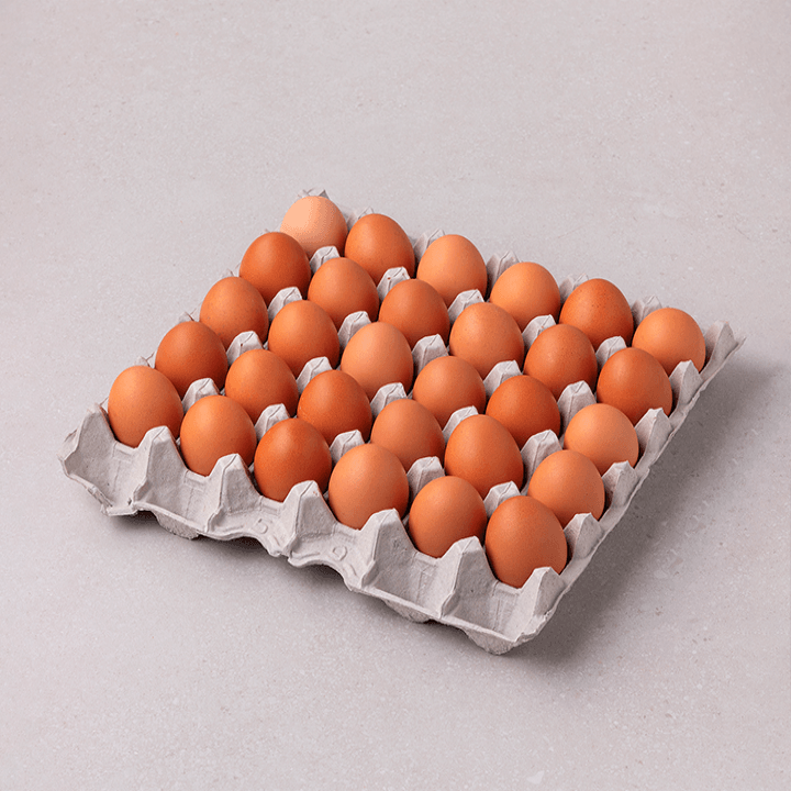 무항생제 알뜰대란30 배민 장보기∙쇼핑