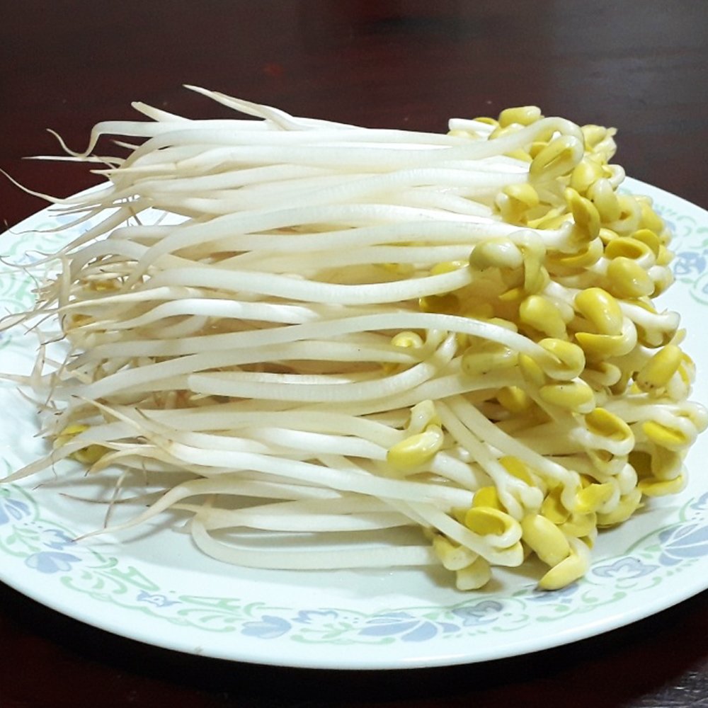각종 찜 탕 잡채용 쭉쭉이콩나물 1봉지 한민 호진네야채 배민 장보기∙쇼핑
