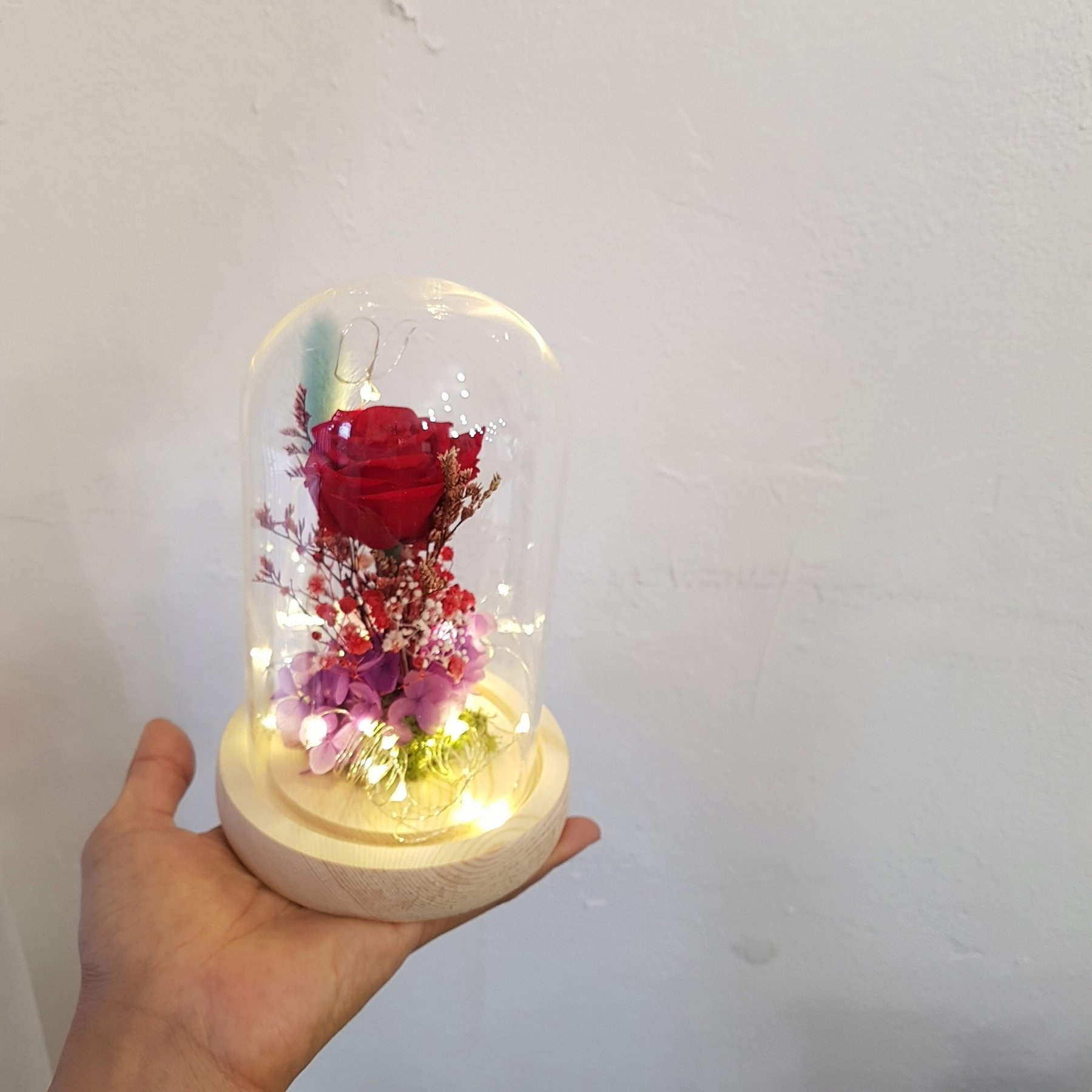 고백 장미 유리돔 프리저브드레드장미s유리돔 배민 장보기∙쇼핑