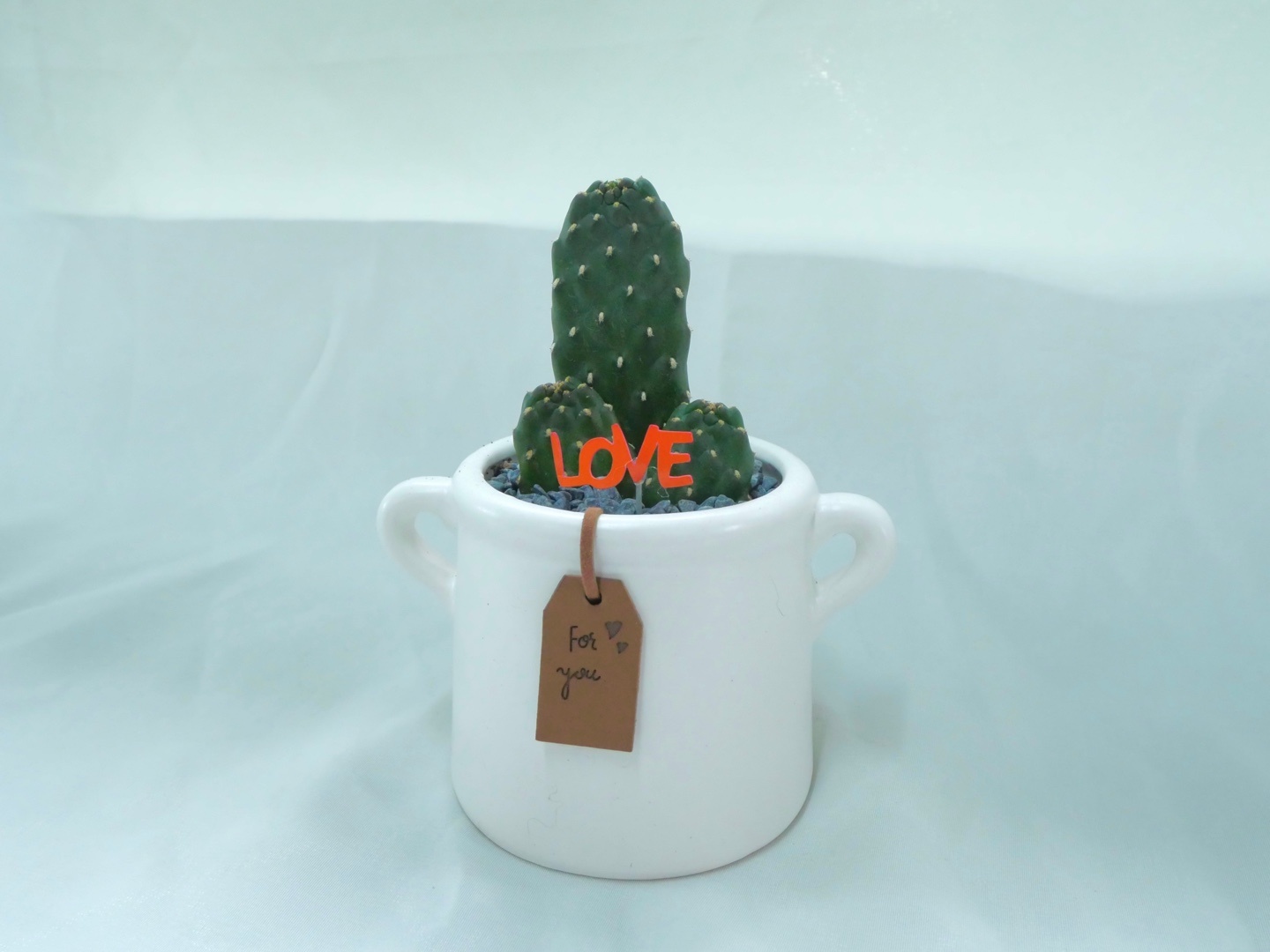 만세선인장 배민 장보기∙쇼핑