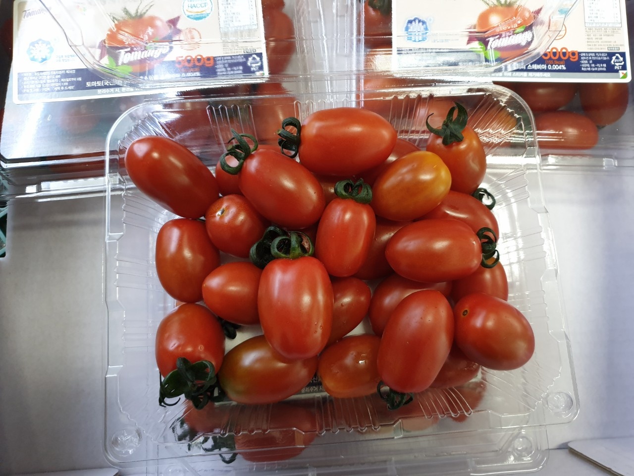 스테비아 방울토마토단마토 500g 배민 장보기∙쇼핑