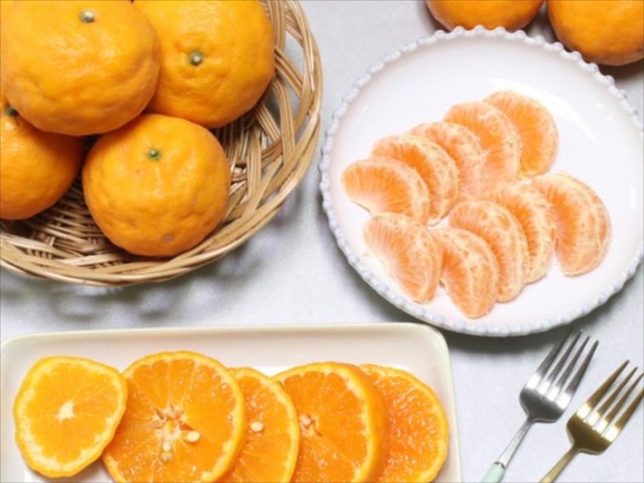 제주 카라향 3개 컷팅 배민 장보기∙쇼핑