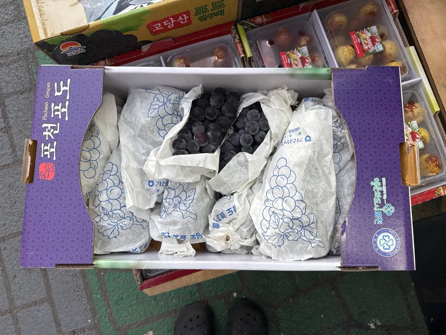 포천 포도 3kg 1box | 배민 장보기∙쇼핑