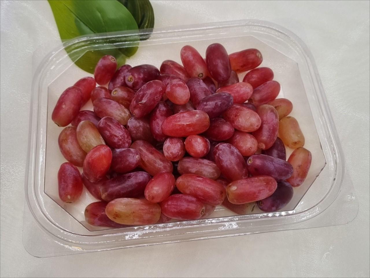 씨없는크림슨포도 100g 배민 장보기∙쇼핑