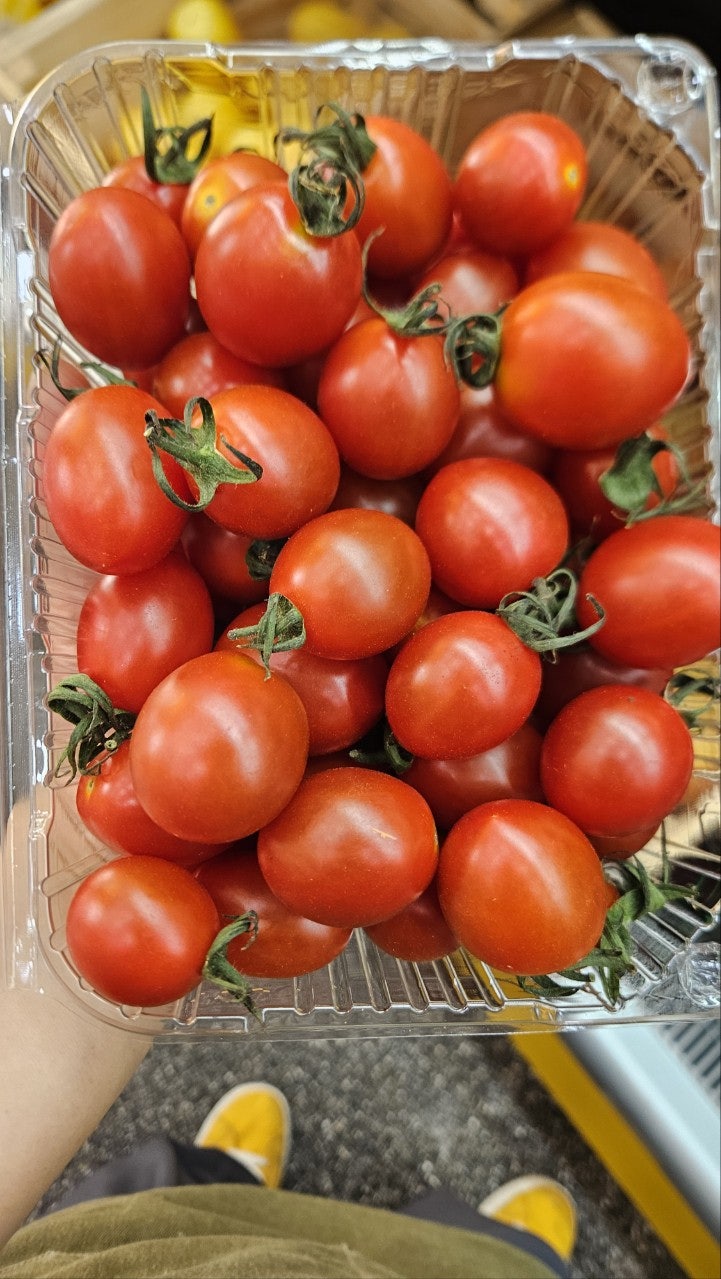고당도 대추 방울토마토 750g 1팩 배민 장보기∙쇼핑