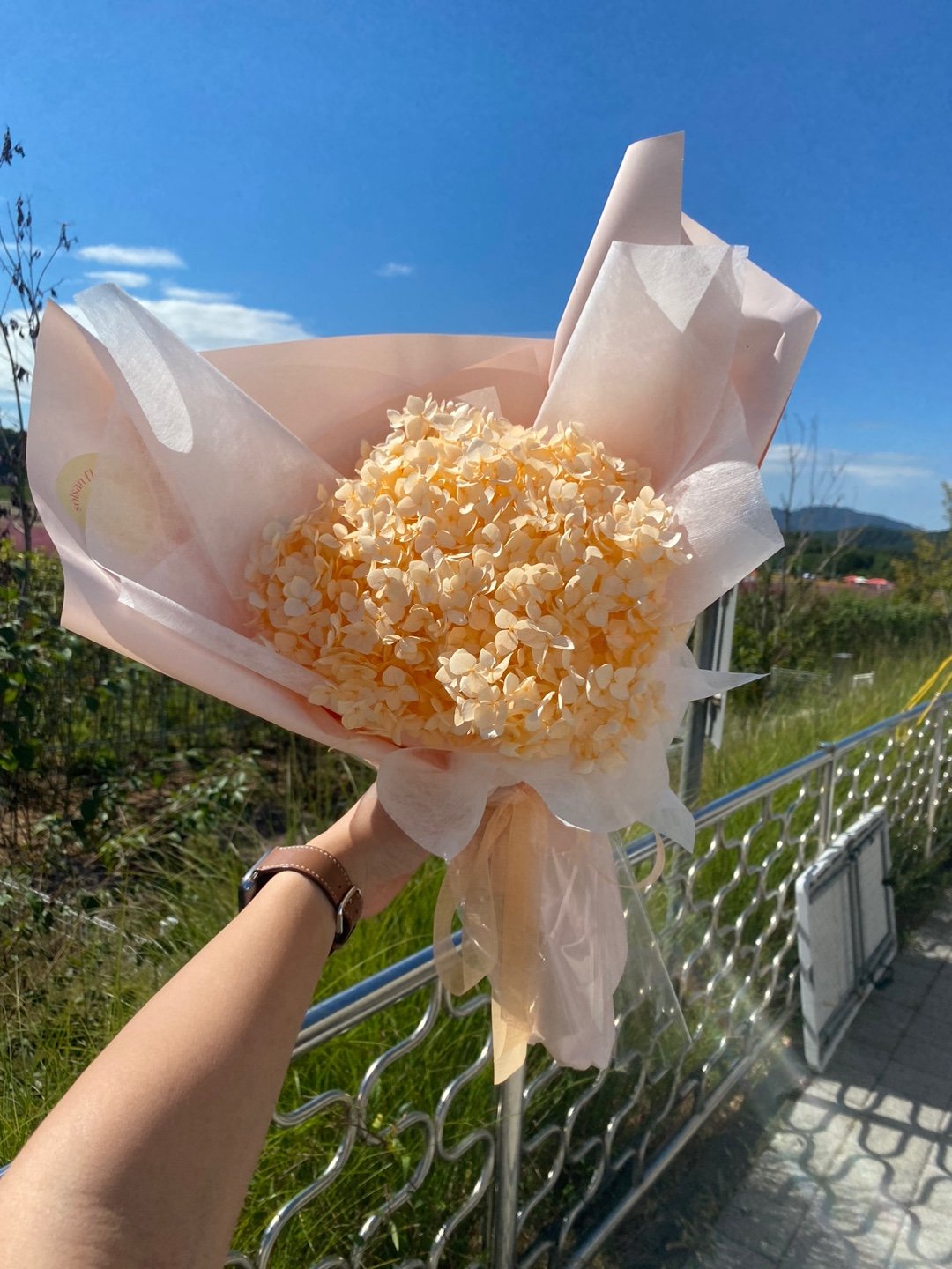프리저브드 수국 배민 장보기∙쇼핑
