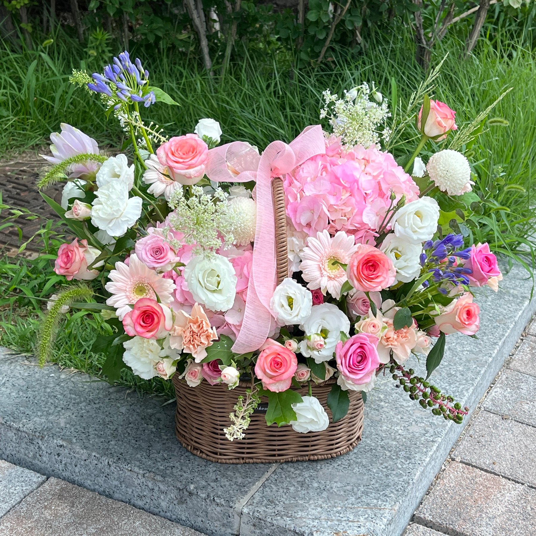 카네이션비누 조화 캐리어 배민 장보기∙쇼핑