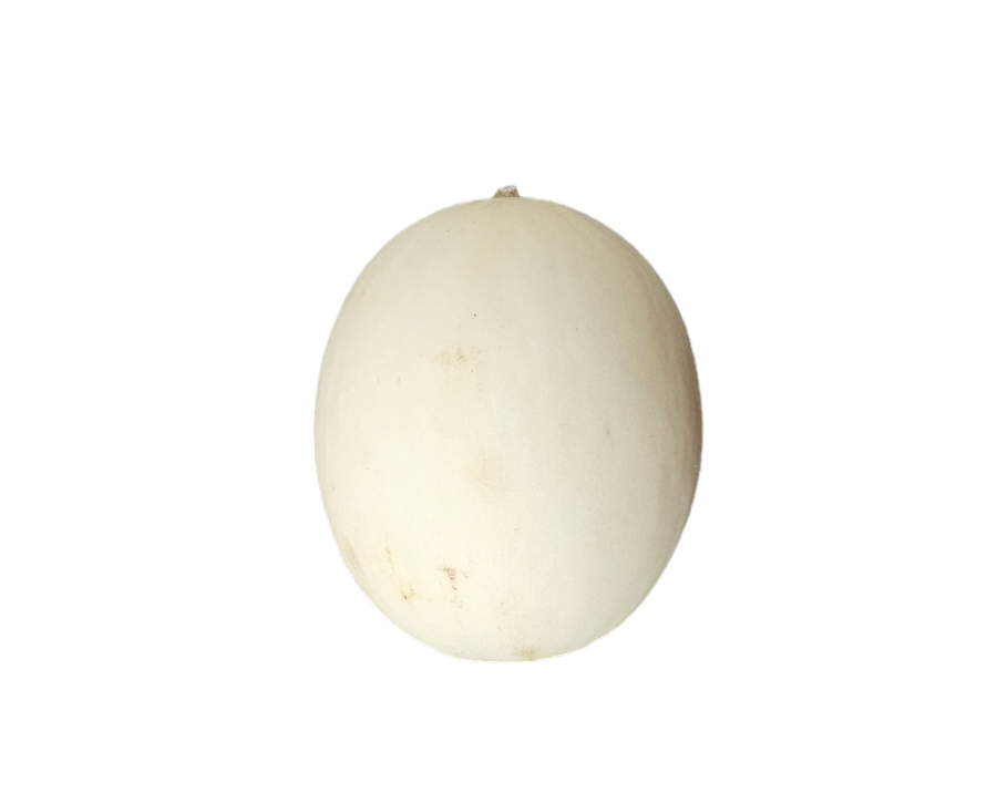 하얀 백자메론 1통1kg내외 배민 장보기∙쇼핑