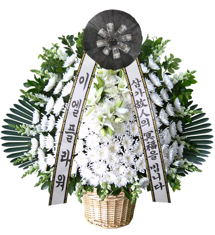 영전바구니 Vip등록반려배달가능 규격 초과 상품으로 픽업으로 수정 필요 규격가이드 무게 10kg 이하 배달통 크기